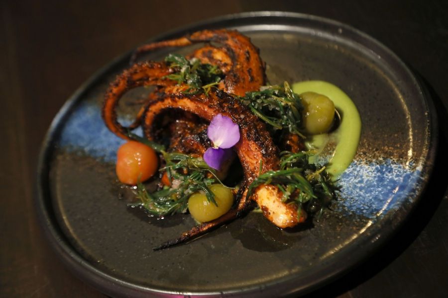 การ์เน่...เล่าเรื่องเนื้อ